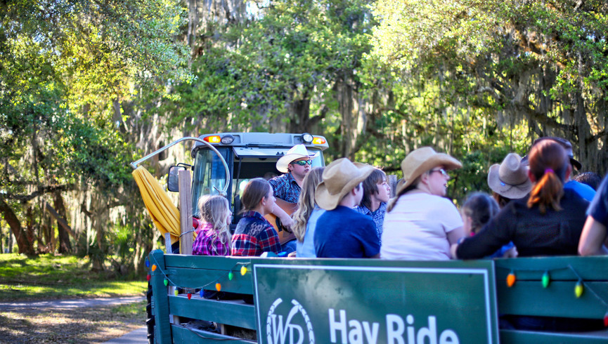 Photo Gallery | Westgate River Ranch Resort & Rodeo in River Ranch ...