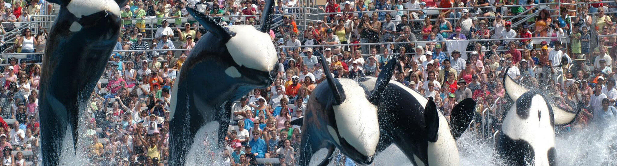 Tickets2You.com | Orlando Discount Theme Park Tickets