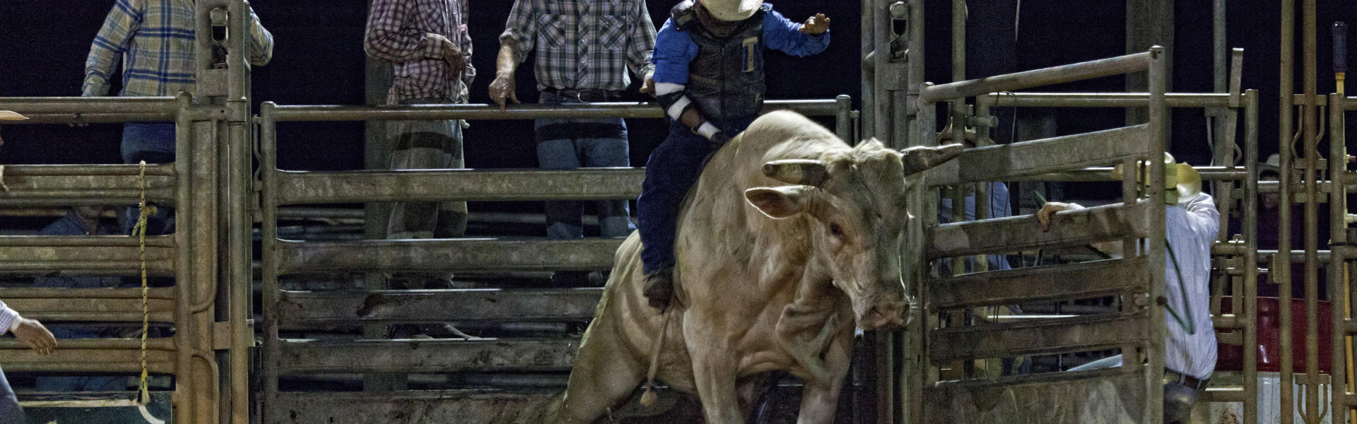 Saturday Night Rodeo | Westgate River Ranch Resort & Rodeo in River ...