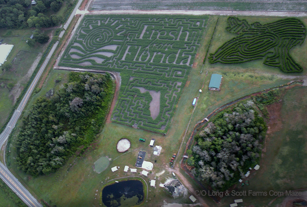 The 6 Scariest Florida Corn Mazes To Get Lost In This Halloween ...