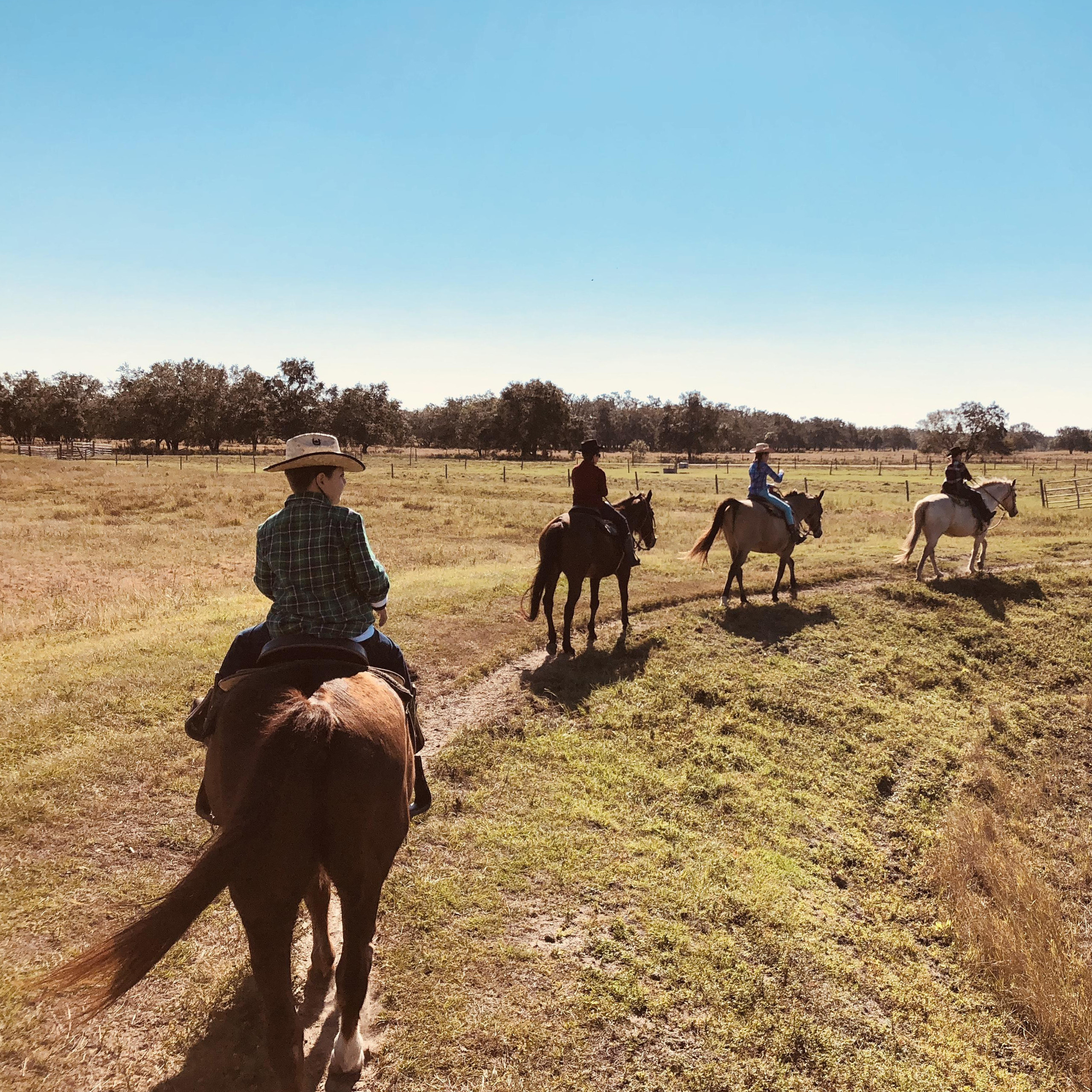 Download Your Favorite Westgate River Ranch Wallpaper HERE!