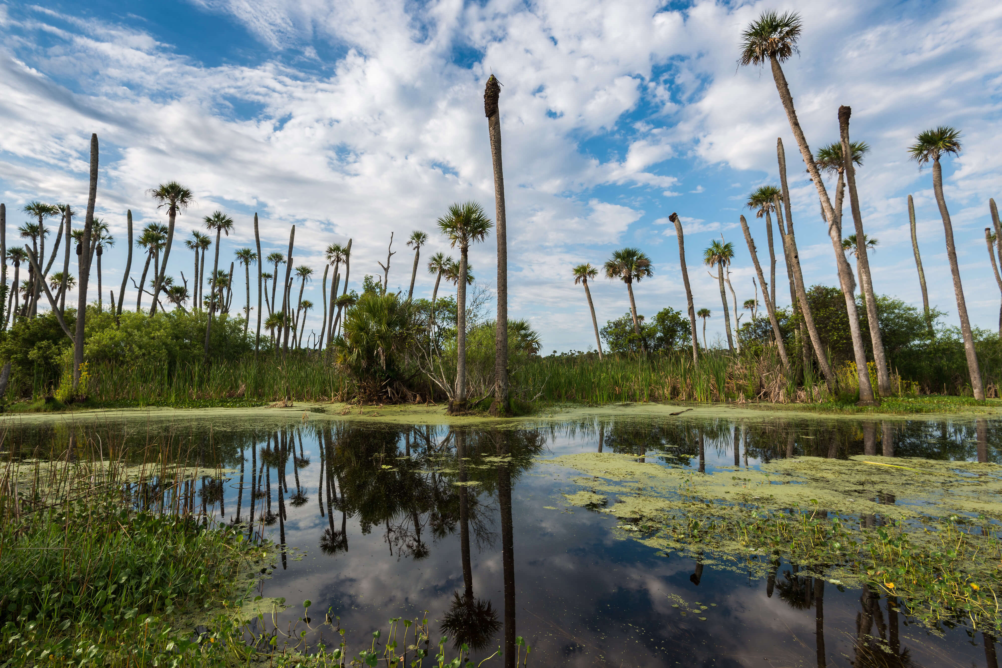 The Ultimate Guide to International Drive Orlando Attractions | Best Of ...